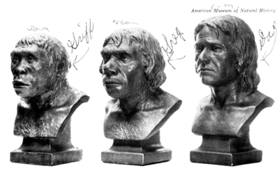 Race, Art and Evolution - Textbook History